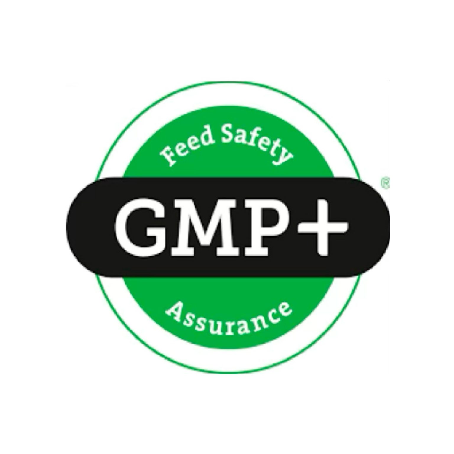 GMP + FSA - www.ursspain.com